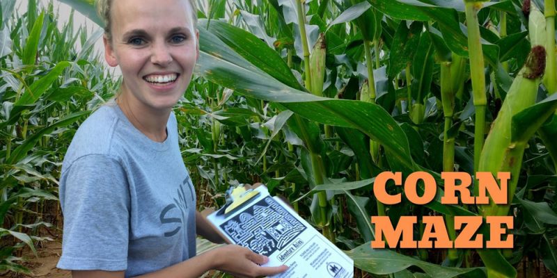 Rounds Ranch Corn Maze - Rounds Ranch