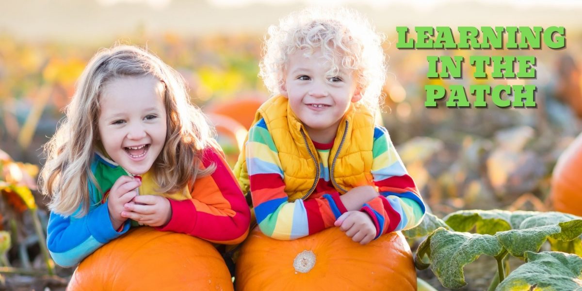 pumpkin patch – Rounds Ranch