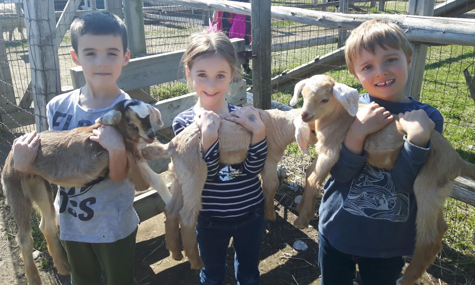 Ranch Hand Day Camp – Rounds Ranch