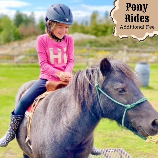 Summer Fun – Rounds Ranch