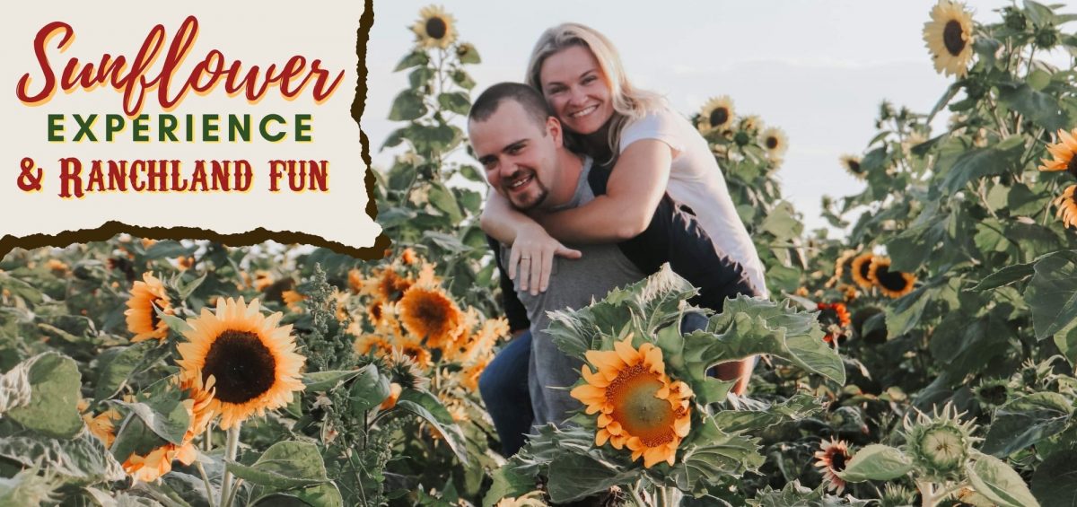 Sunflower Experience – Rounds Ranch