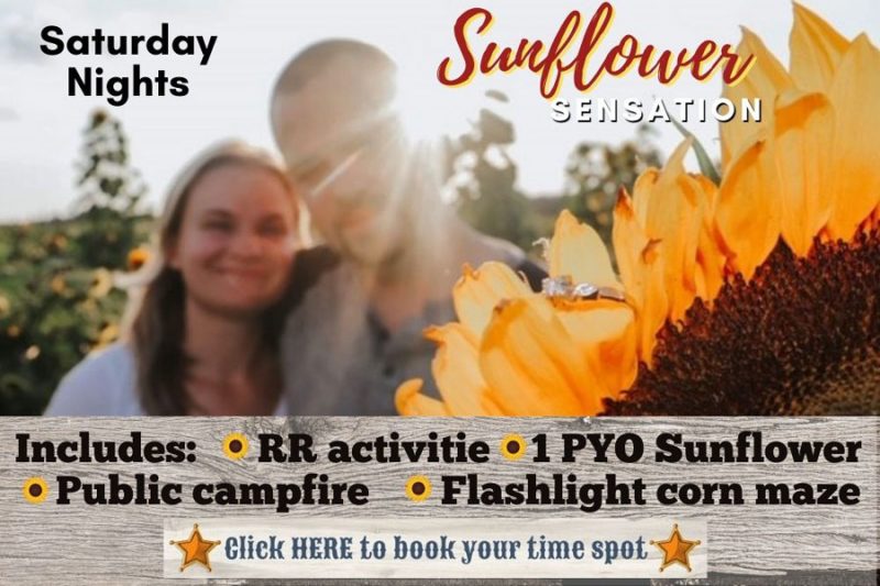 Saturday Night Sunset - Rounds Ranch