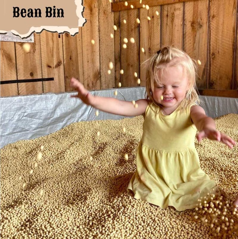 Bean Bin – Rounds Ranch