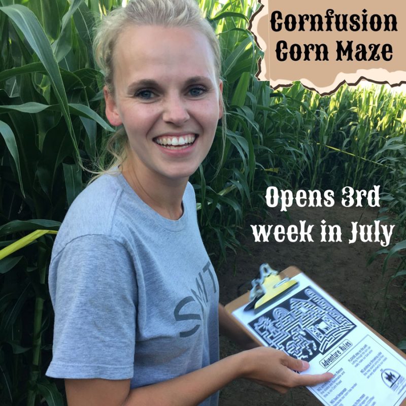 Summer Fun – Rounds Ranch