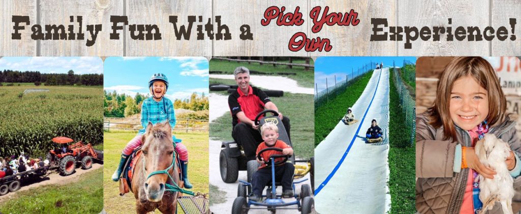 Family Fun at Rounds Ranch – Rounds Ranch