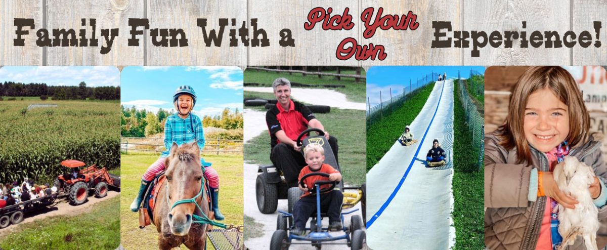 Family Fun at Rounds Ranch – Rounds Ranch