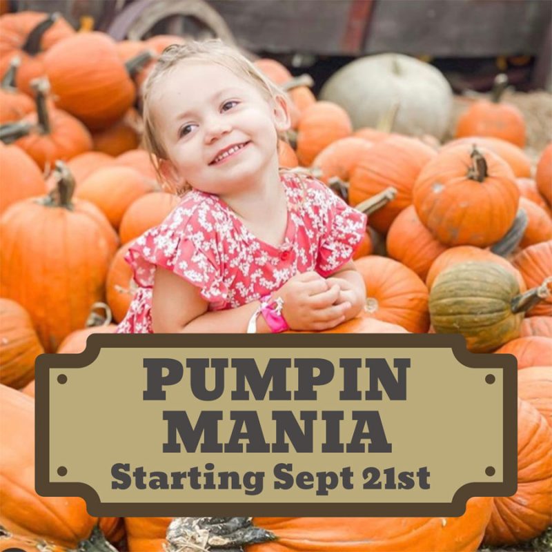 Rounds Ranch - Experience the Fun!