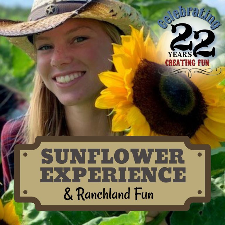 Sunflower Experience 2024 – Rounds Ranch