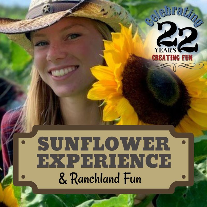 Rounds Ranch - Experience the Fun!