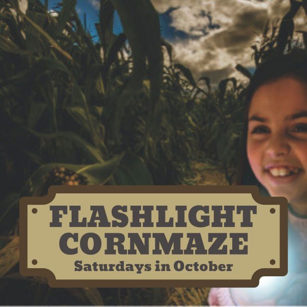 Rounds Ranch - Experience the Fun!