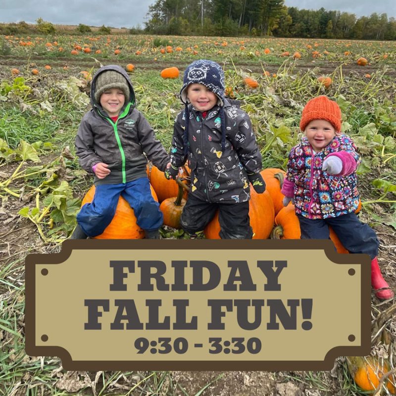 Rounds Ranch - Experience the Fun!