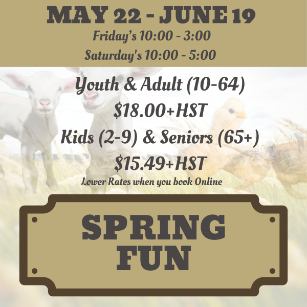 Spring Fun – Rounds Ranch